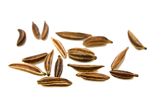 Huile essentielle de Carvi : Guide complet d'utilisation