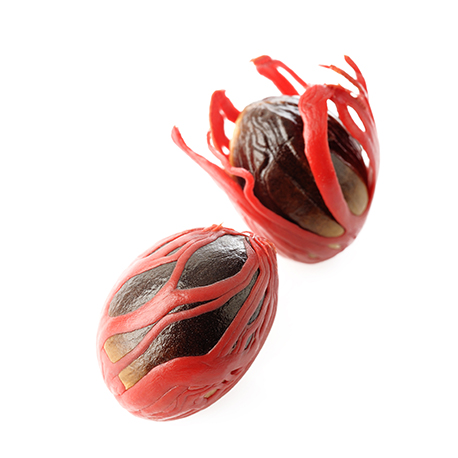 Huile essentielle de Muscade : Guide complet d'utilisation