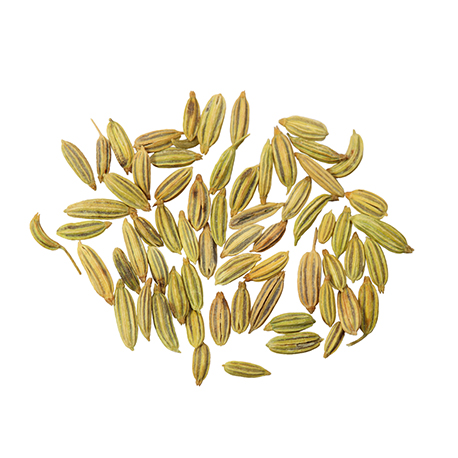 Anis Vert : comment et pourquoi utiliser les graines de la plante