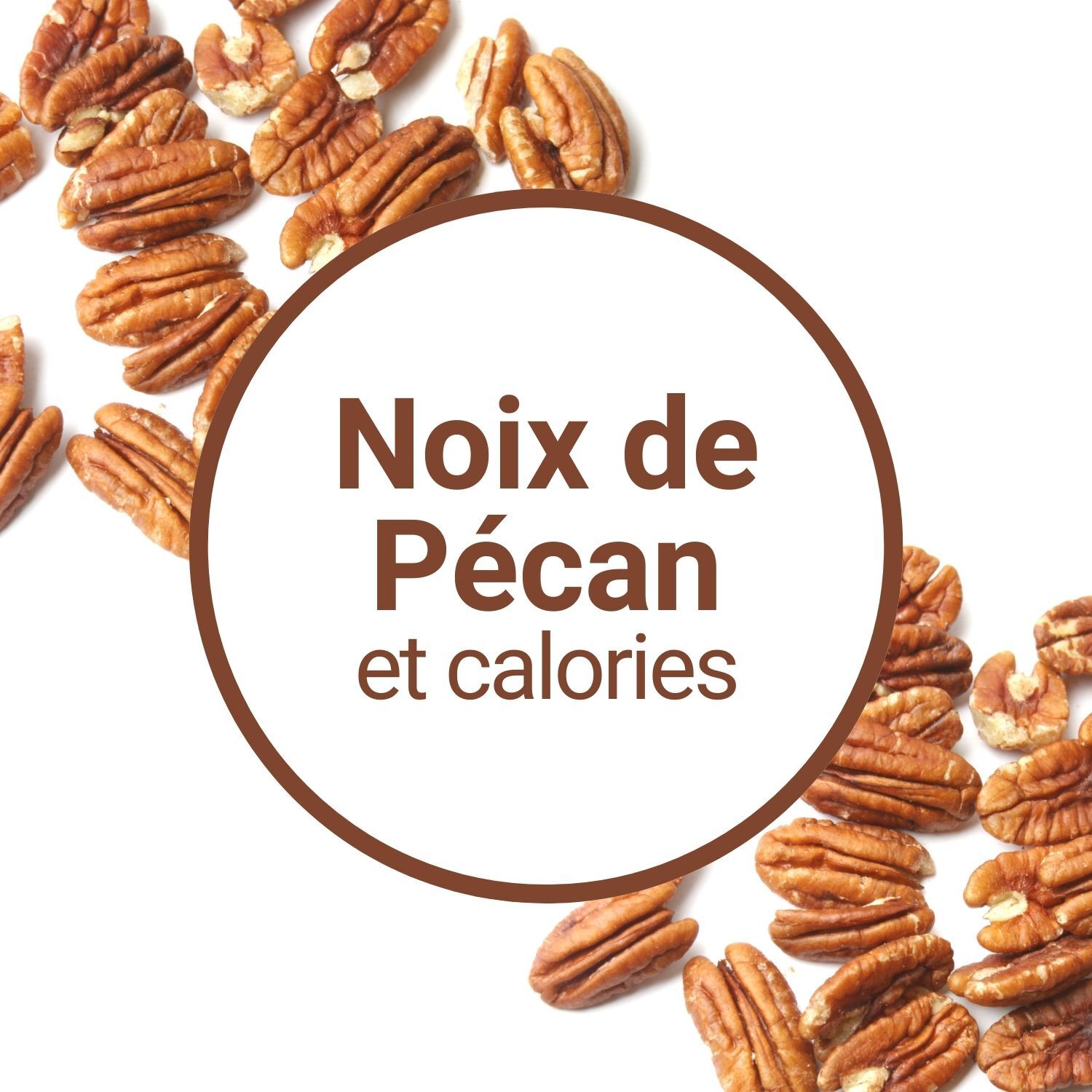 Les noix de Pécan sont-elles riches en calories