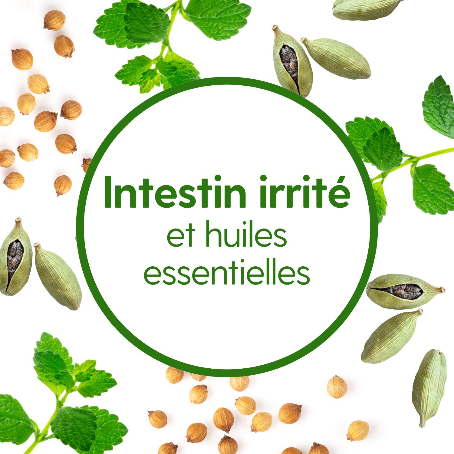 Quelles huiles essentielles pour l'intestin irrité